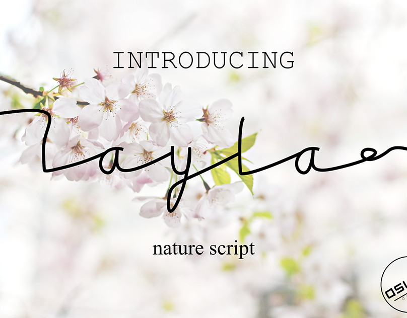 Layla Script - Dezign Ark