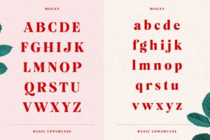 Mogan Font + Extras by Tobias Saul - Dezign Ark