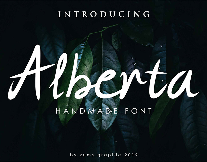 Alberta Script Font - Dezign Ark