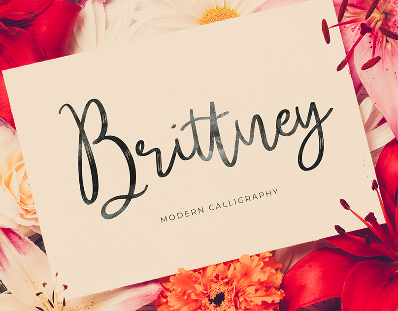 Brittney Free Font - Dezign Ark (Beta)