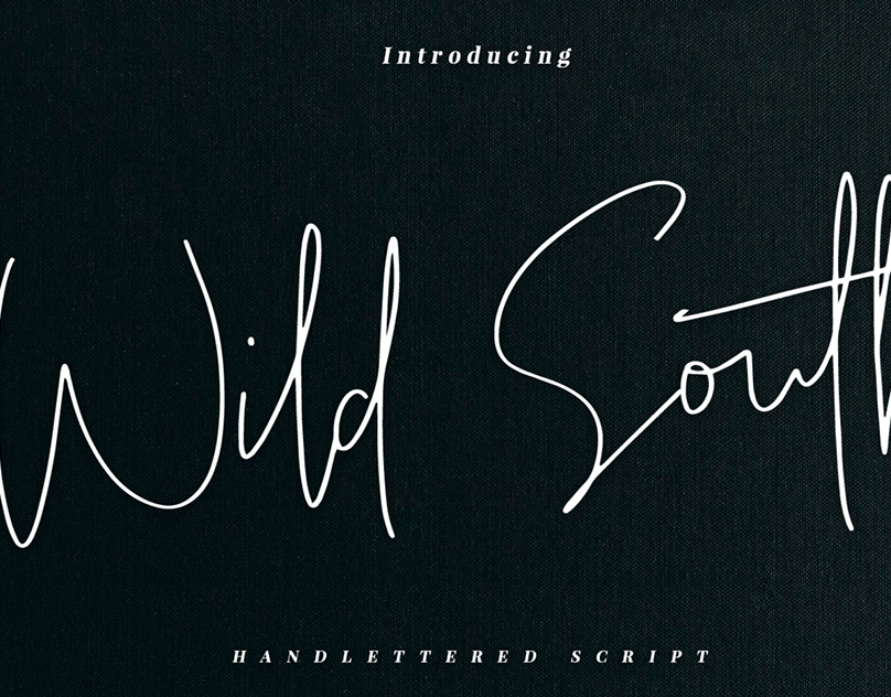 Wild South Script - Dezign Ark