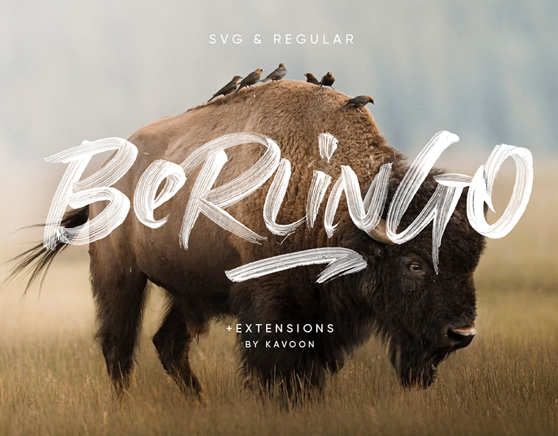 Berlingo SVG font - Dezign Ark