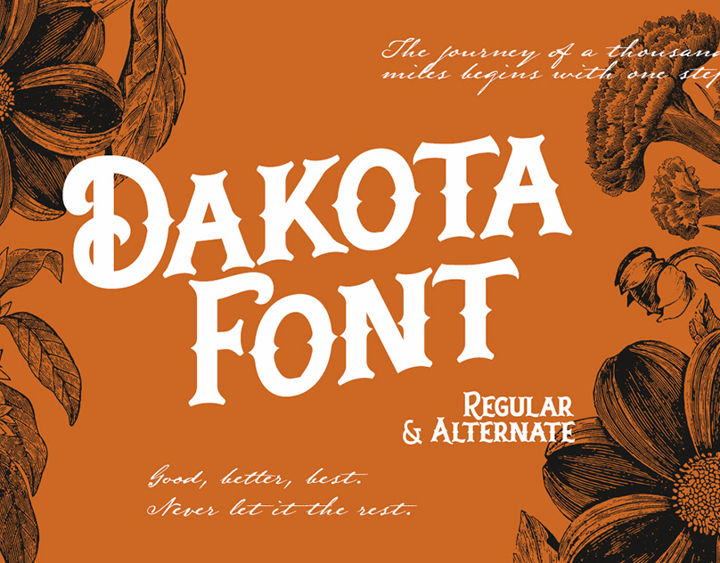 Dakota | Font Display - Dezign Ark