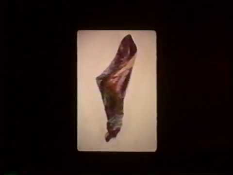 Beverly Fishman : Hybrids (October 19, 1994) - Dezign Ark