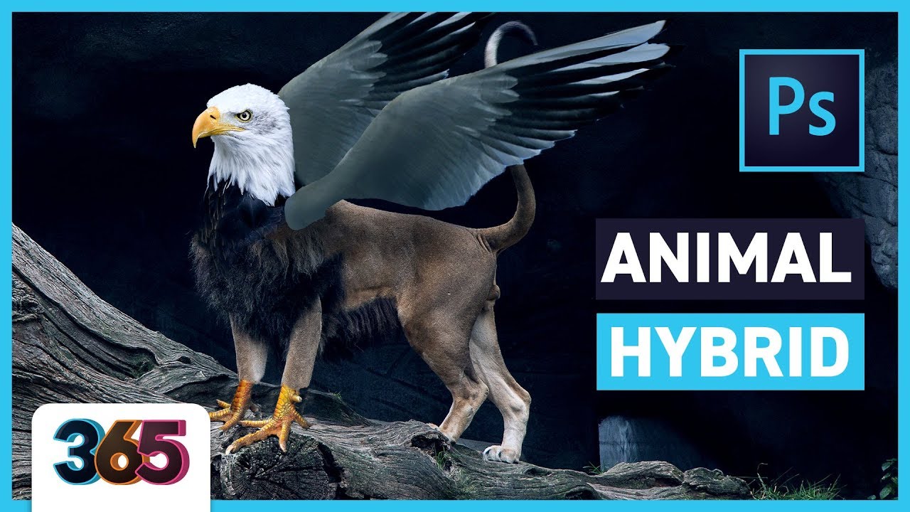 Animal Hybrid | Photoshop CC Tutorial #244/365 - Dezign Ark