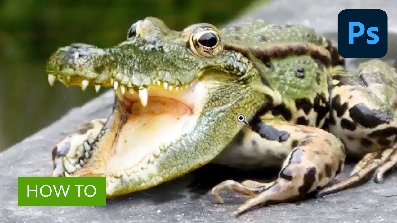 Combine a Crocodile and a Frog in Photoshop - Dezign Ark