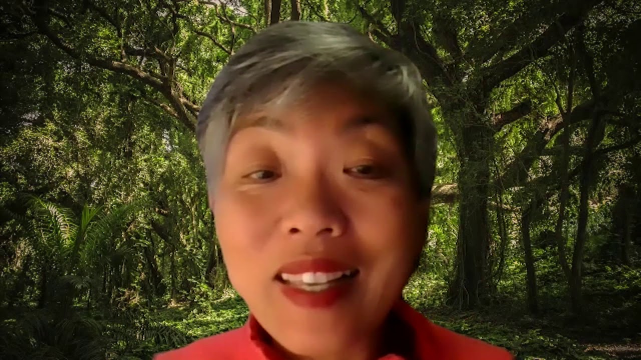 Long Litt Woon, The Way Through the Woods – The Understory of the ...