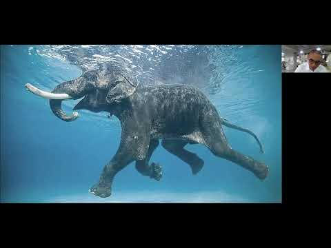 RIBA Hello China Digital Talk 1: Zhang Li - Dezign Ark