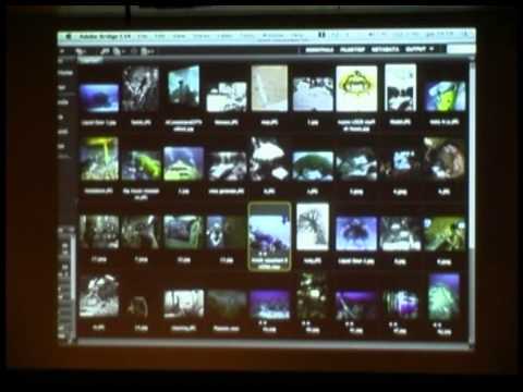 Isola and Norzi: Conshelf II - Dezign Ark