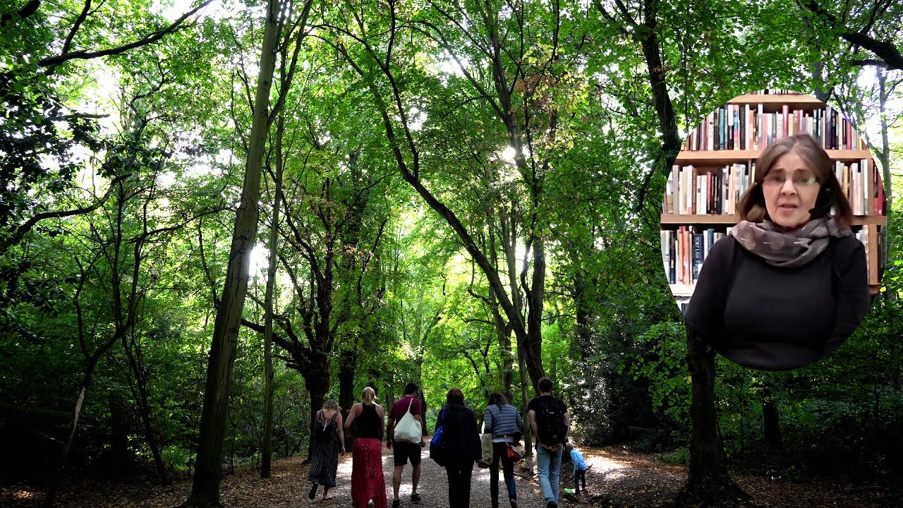 Trees, urban design and the National Model Design Code. - Dezign Ark