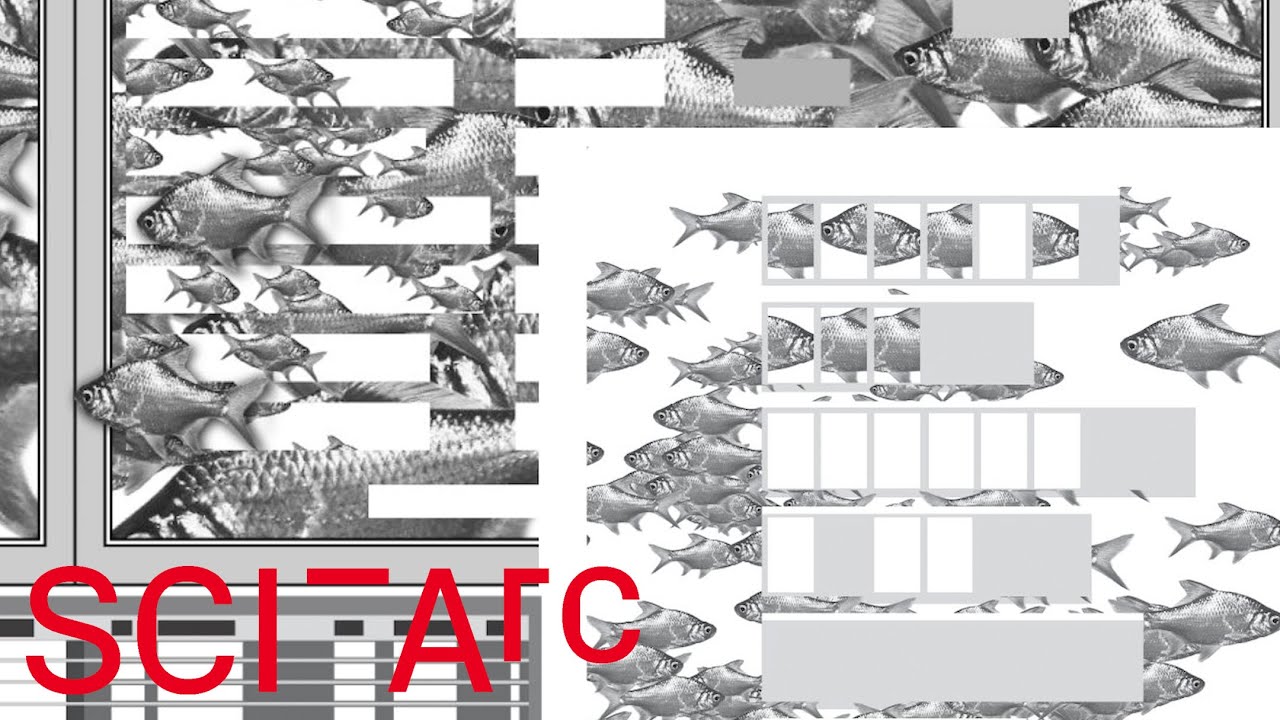 Shona Kitchen: Foraging the Everyday - Dezign Ark