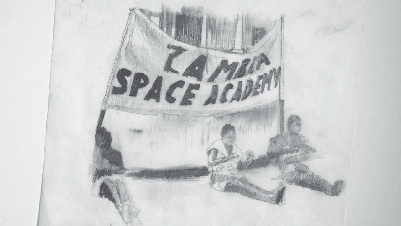 Thandi Loewenson, A Taxonomy of Flight - Dezign Ark