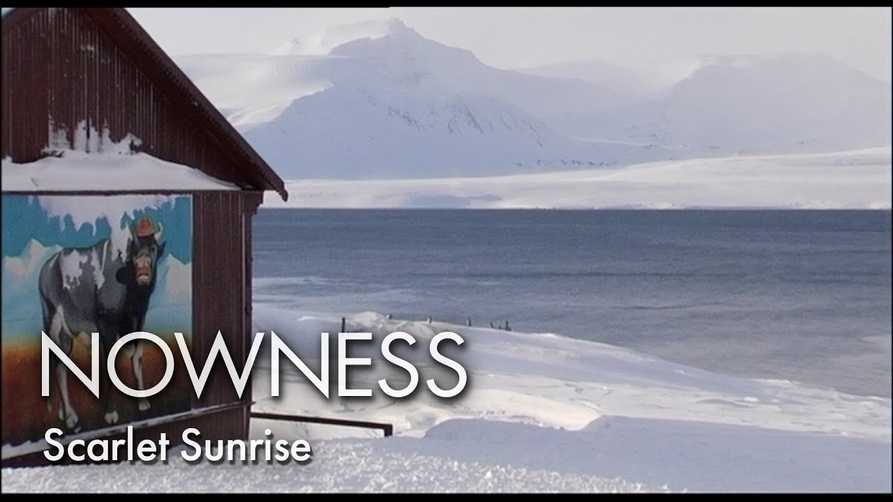 Scarlet Sunrise - Dezign Ark