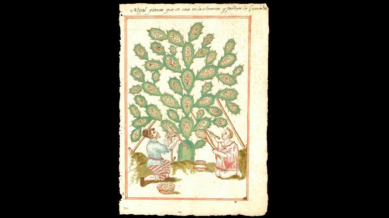 Daniela Bleichmar - Dezign Ark