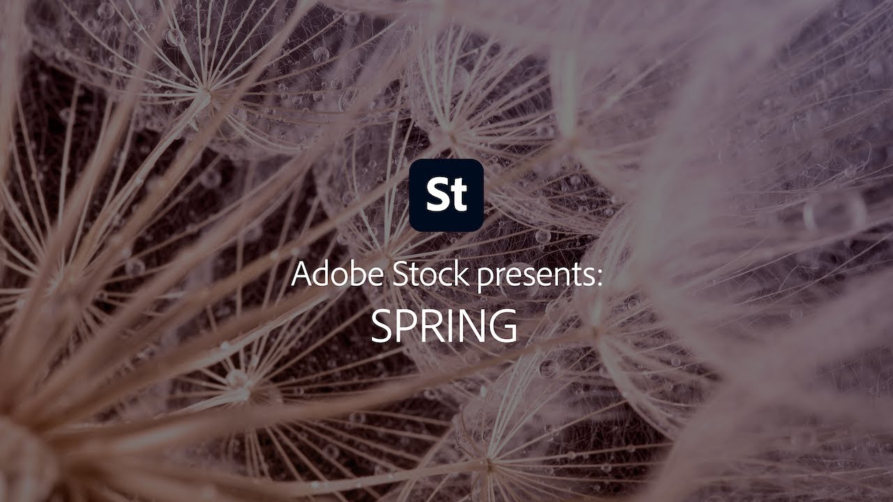 Spring 2022 From Adobe Stock Adobe Creative Cloud Dezign Ark