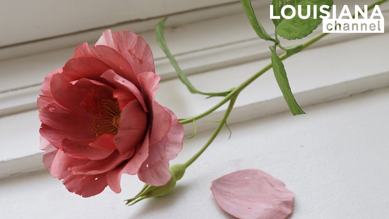 Wood Carving After Nature | Artist Yoshihiro Suda | 須田悦弘 | Louisiana ...